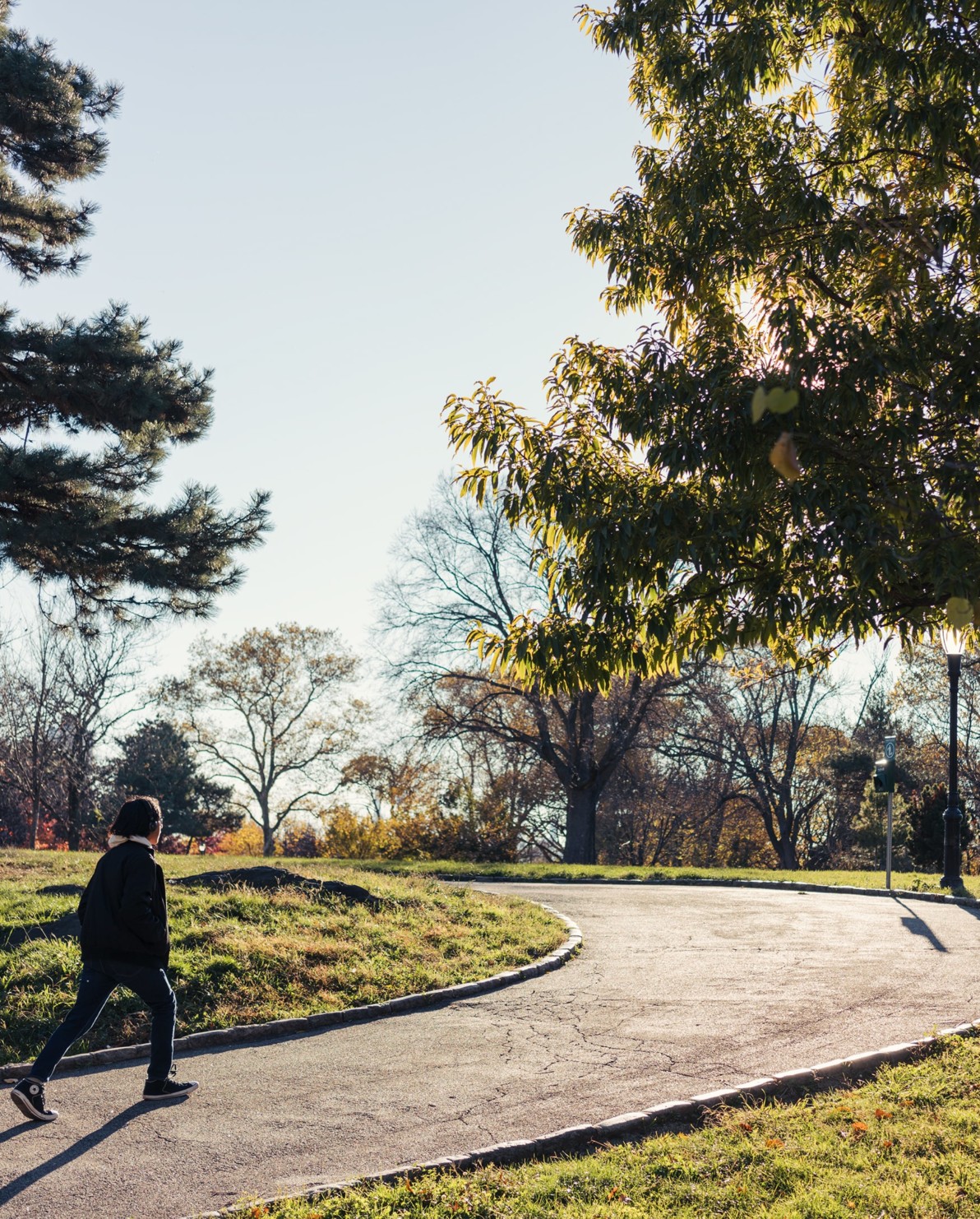 Apartments For Rent in Mott Haven Bronx | Neighborhood | Estela